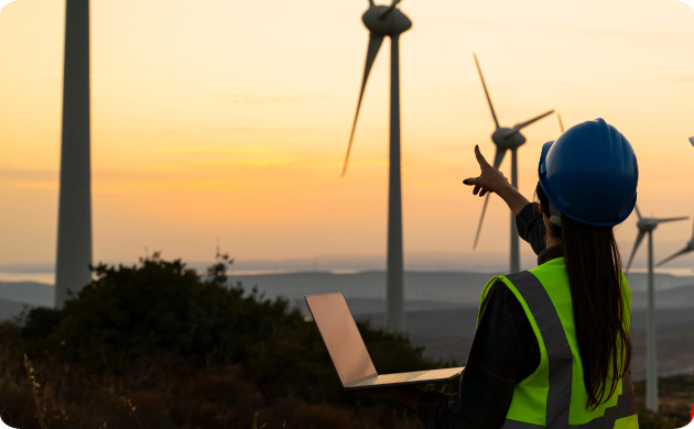 Solar And Wind Software Development Solutions | Indeema Software